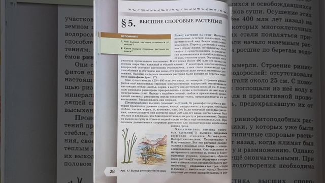 Биология 7 класс В.В. Пасечник. §5. Высшие споровые растения.