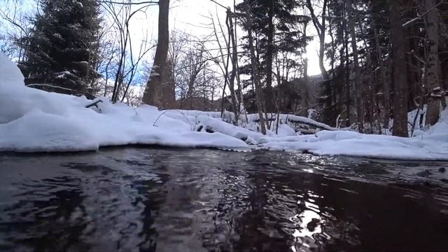 Сказочный новый год 2019 / Закан