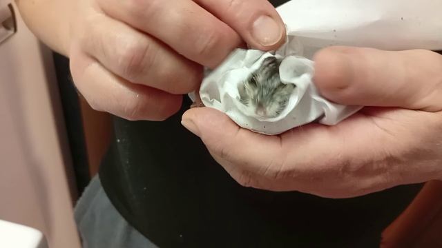 Машенька купается.