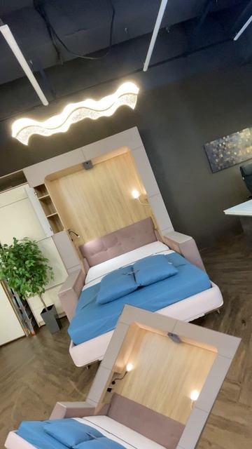 Гигантская пчела Уоллеса 🐝