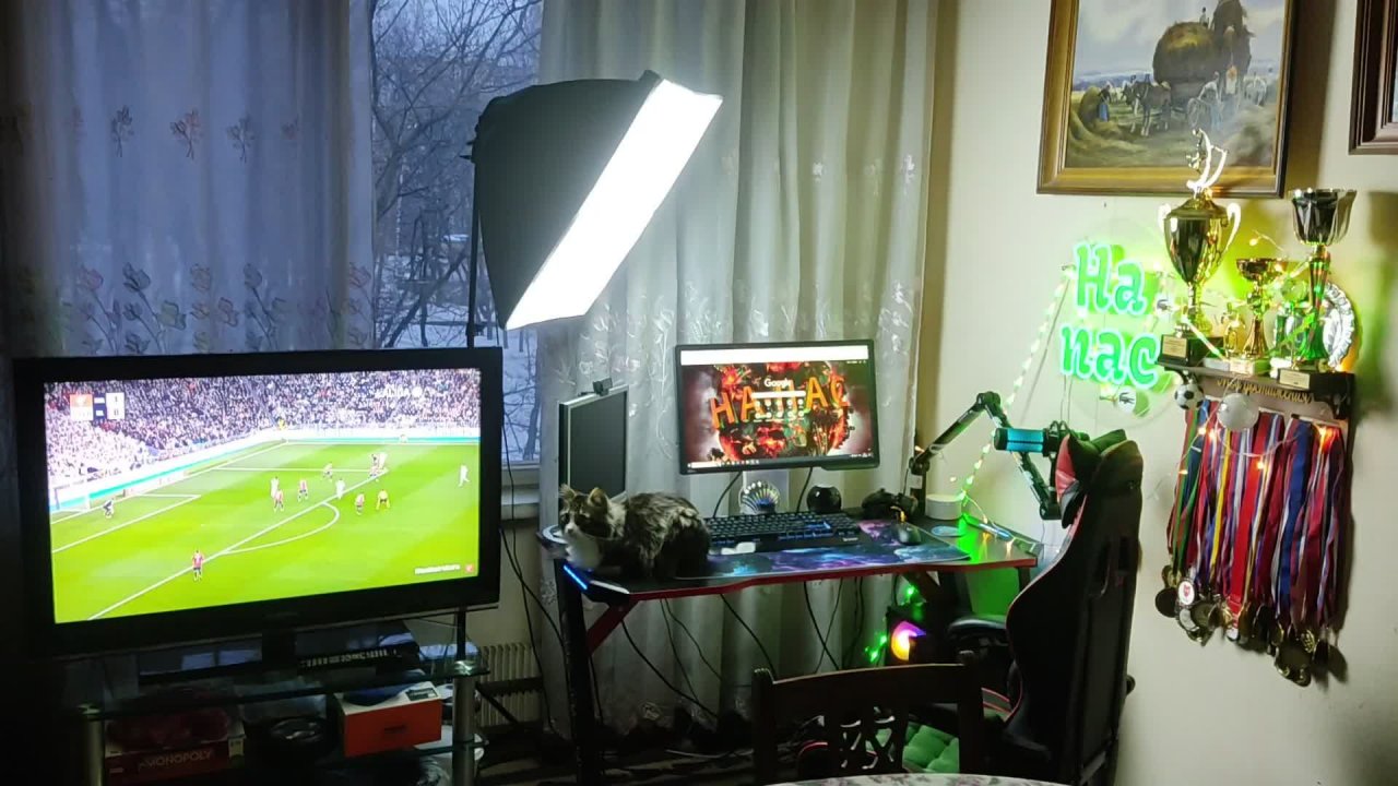 Ночное рандеву | ActiveMatter