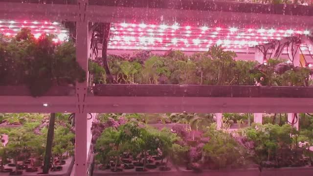 2025 Технопарк «Мосгормаш»