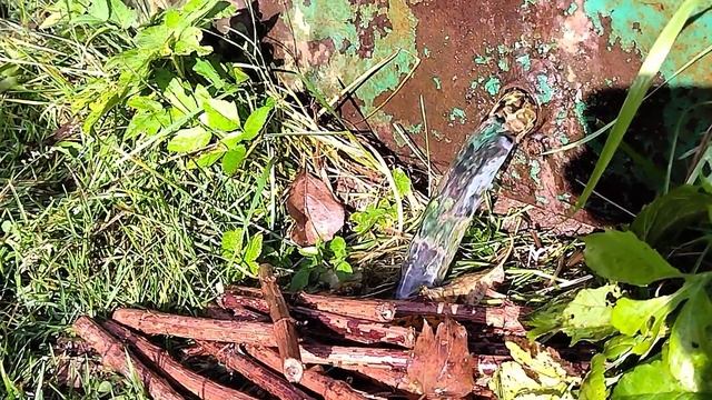 То, на что можно смотреть бесконечно