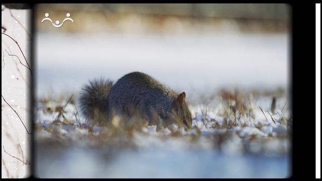 А вы знаете, что... Белки
