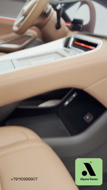 В наличии DENZA N9 2026 black & brown в Москве - арт. 068932 - бронировать сейчас @AlyonaDenza