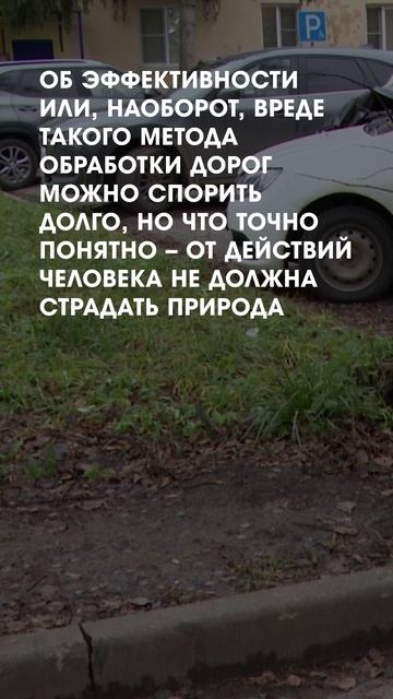 Мешки с солью. Последствия для экологии