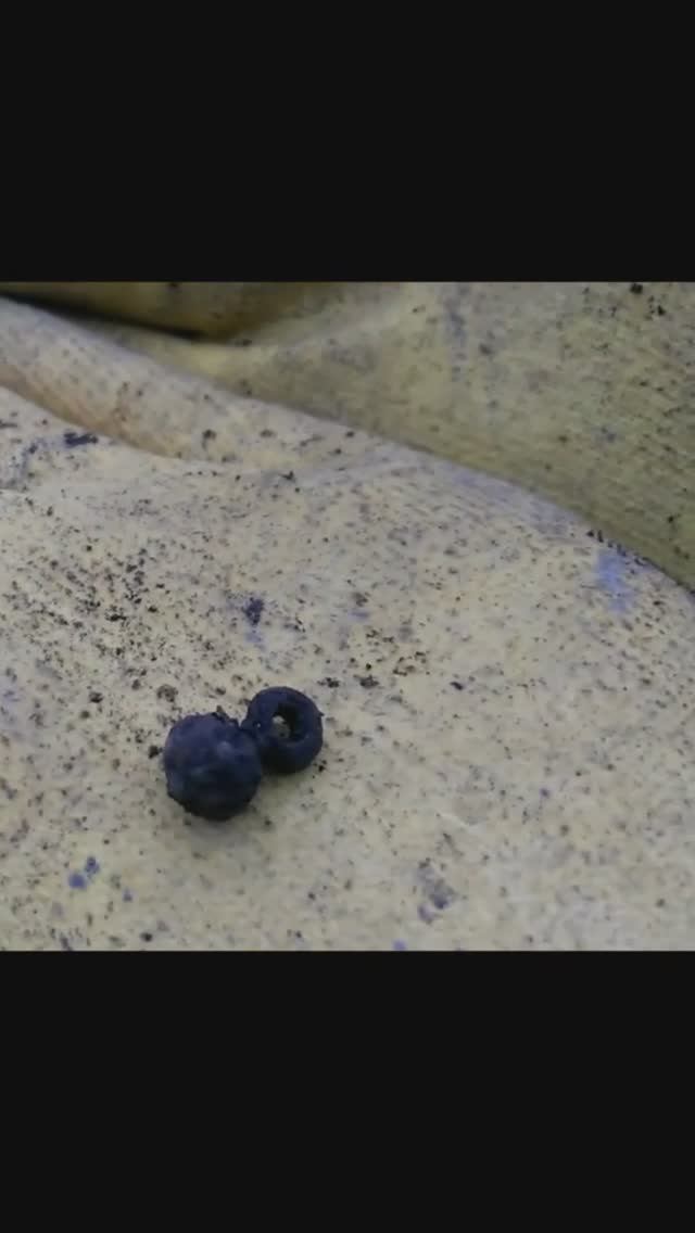 Старинная пуговица гирька