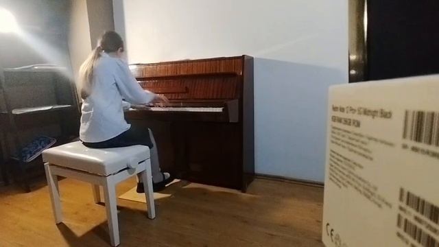 А.Скрябин. Ноктюрн (ля-бемоль мажор). Домашнее видео - смотреть видео онлайн от «Elena Prokofeva ...