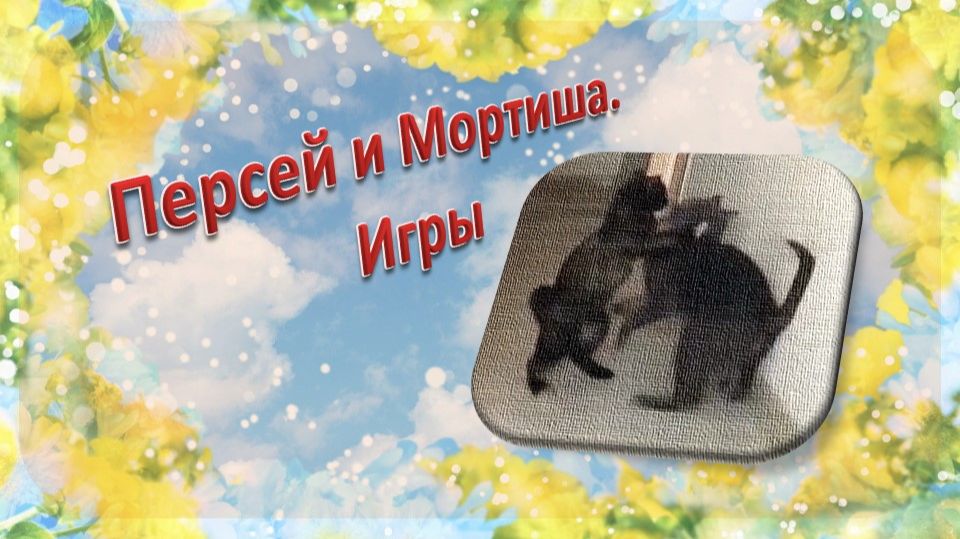 Персей и Мортиша. Игры.