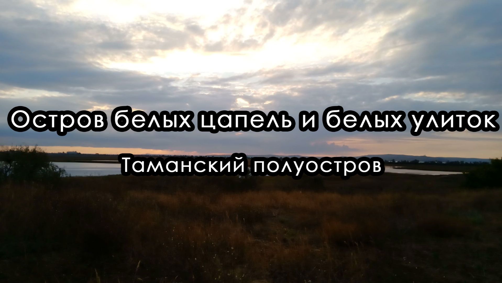Остров белых цапель и белых улиток. Таманский полуостров.