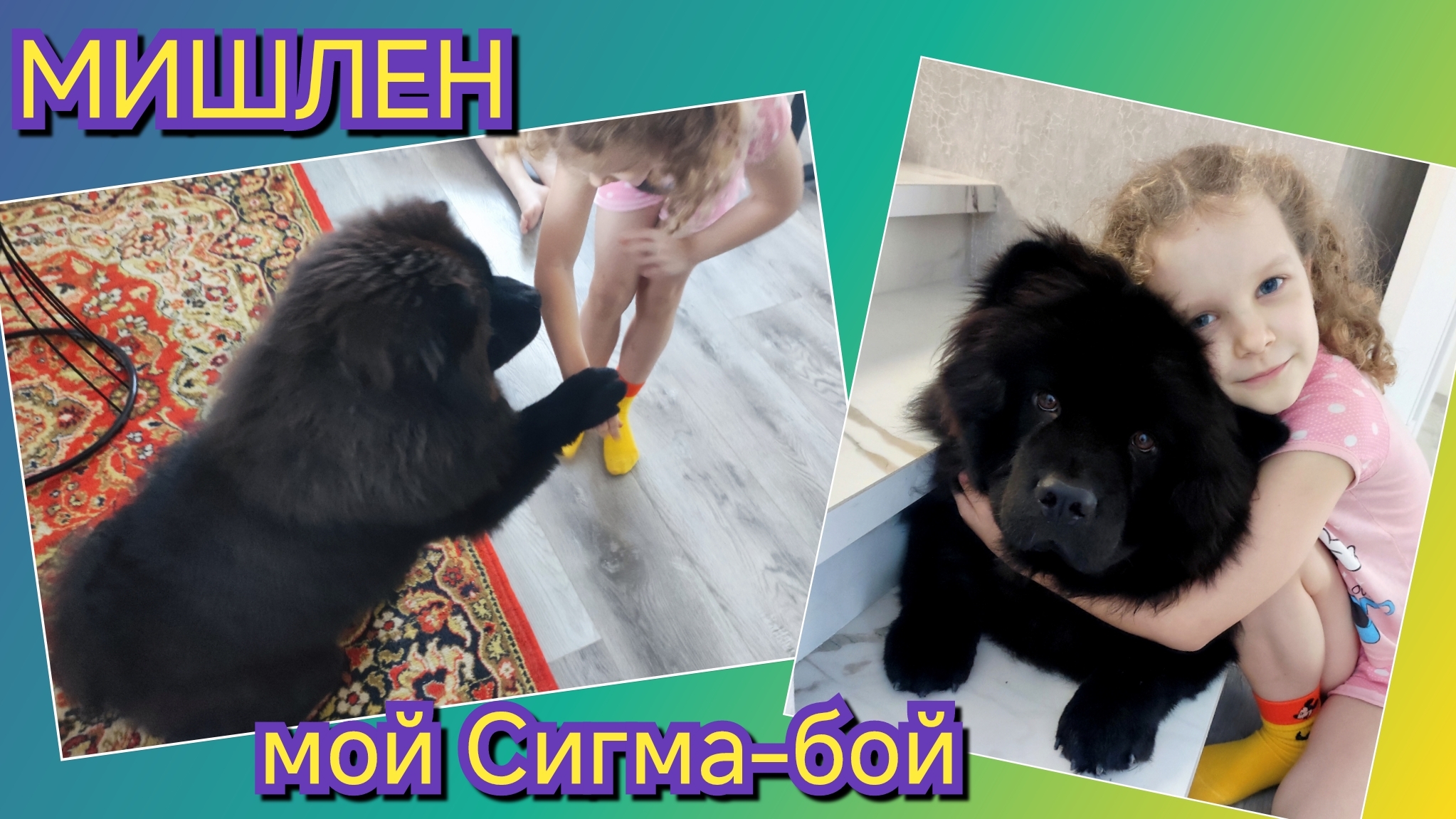 Мишлен - мой Сигма-бой, каждая девчонка хочет погулять с тобой