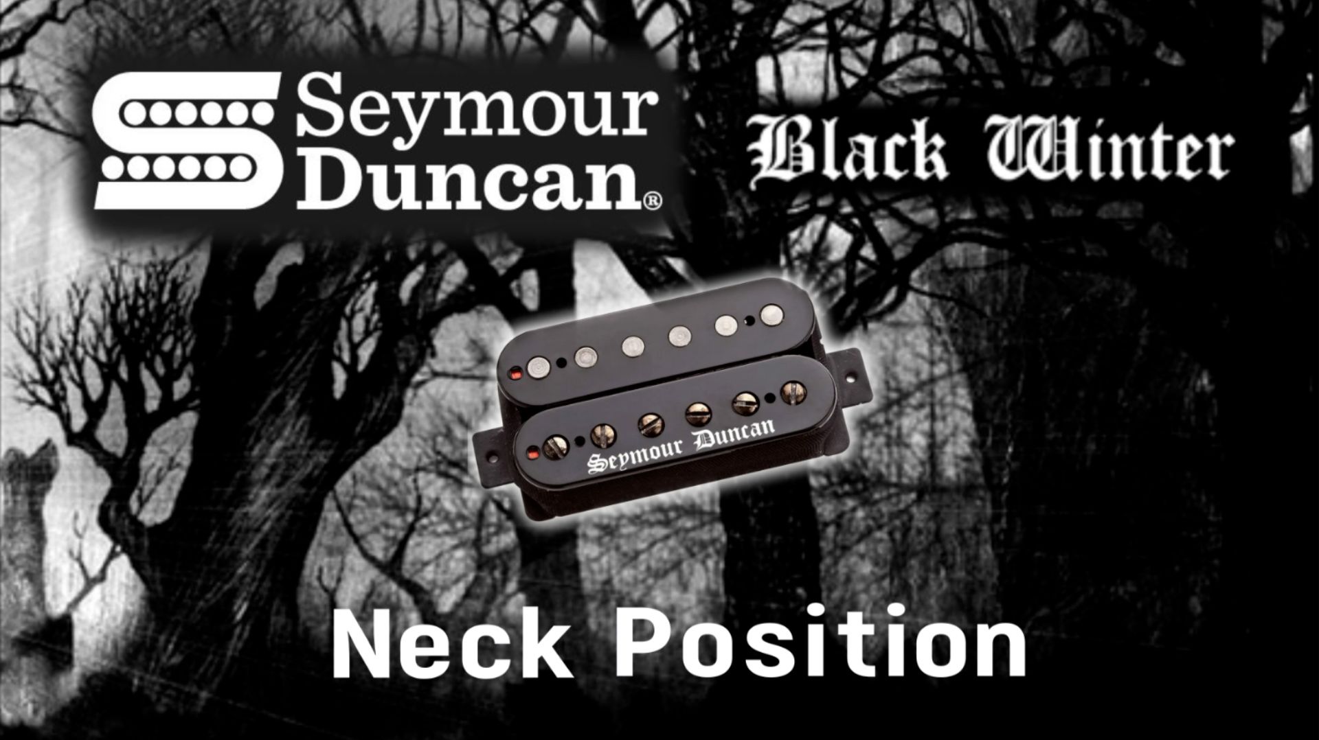 Seymour Duncan Black Winter (Neck)