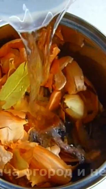 Рассол для засолки скумбрии в луковой шелухе  #рассол #рецепты #скумбриявшелухе #клип