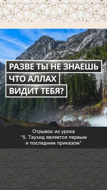 Разве ты не знаешь, что Аллах видит тебя? || Динар абу Идрис