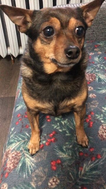 Тут всё твоё