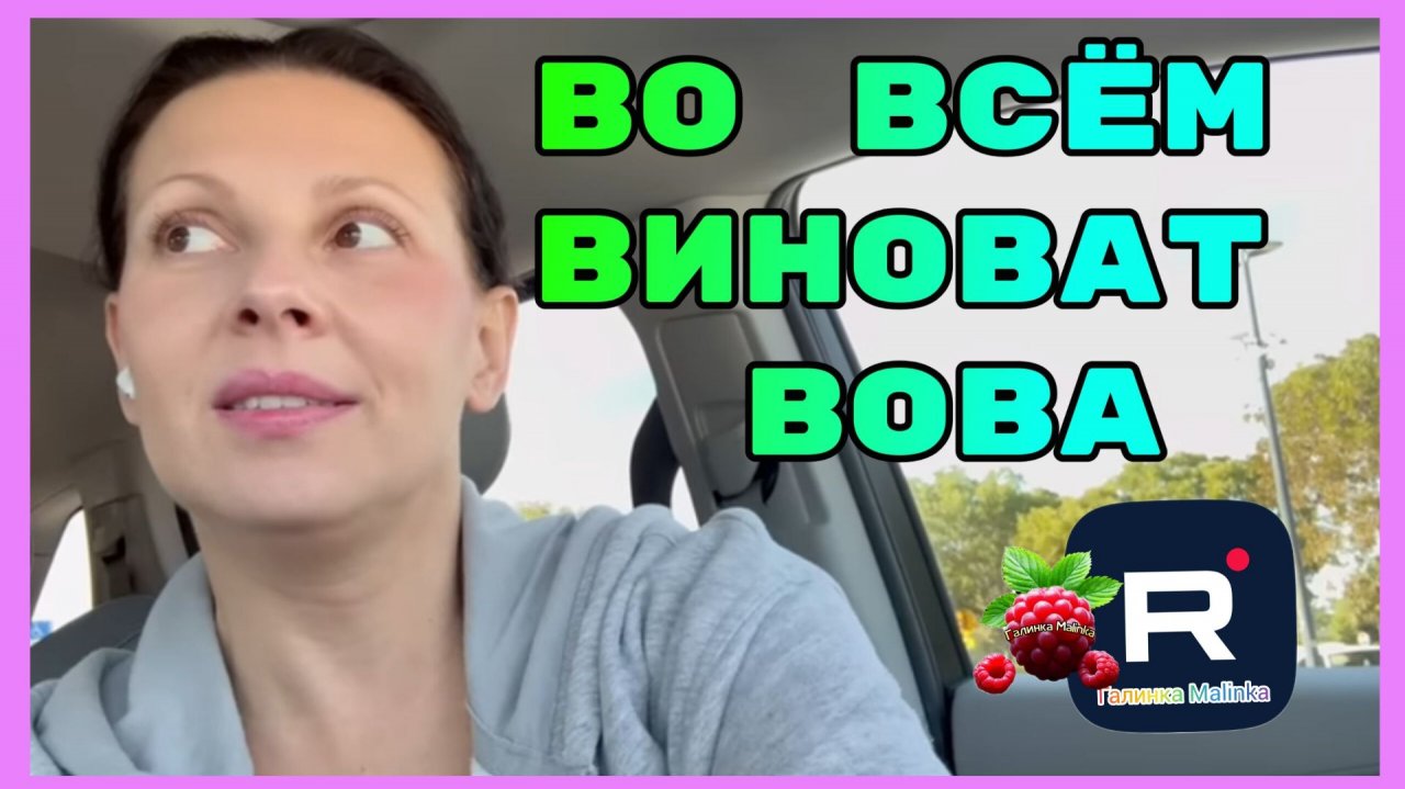 Big Big Family in the USA _Во всем виноват Вова _Обзор _Биг Биг Фэмэли _Funny 4
