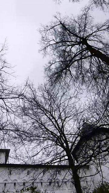 Старинное место Звенигорода, которое мало кто знает