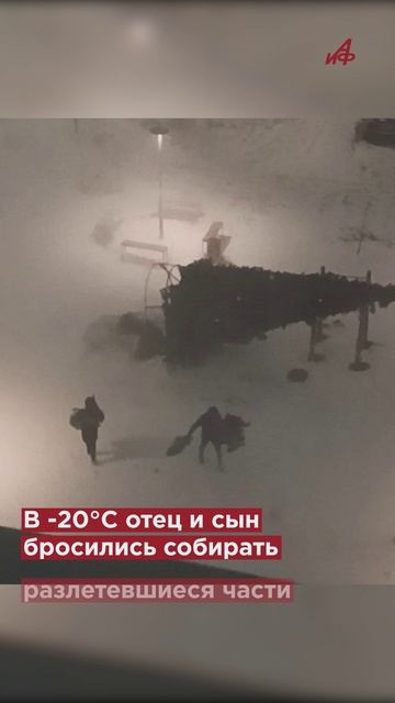 В Красноярске ёлку чуть не унесло ветром. Отец и сын спасли символ Нового года