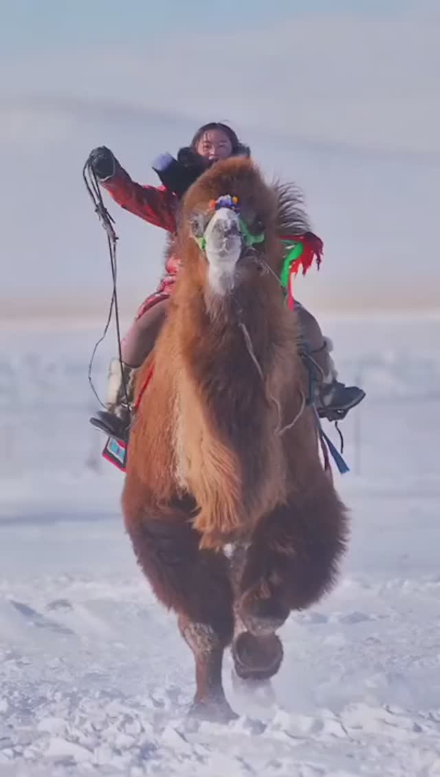 Погонщица верблюда