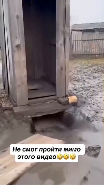 Ага, выдержит!