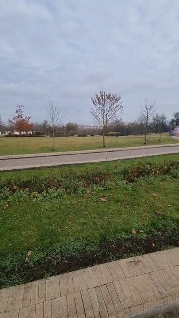 В Лошицком парке в Минске очень чисто и ухоженная территория