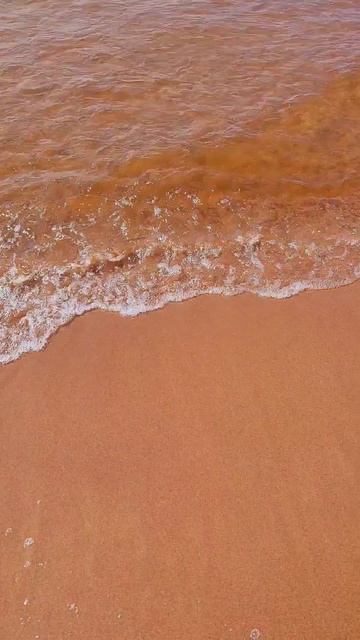 Карелия 2025. Пляжи Видлицы. Июль 2025г (Часть 8)