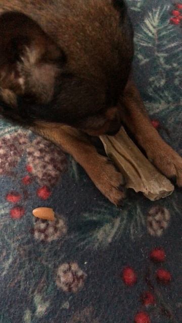 Занимается важным делом