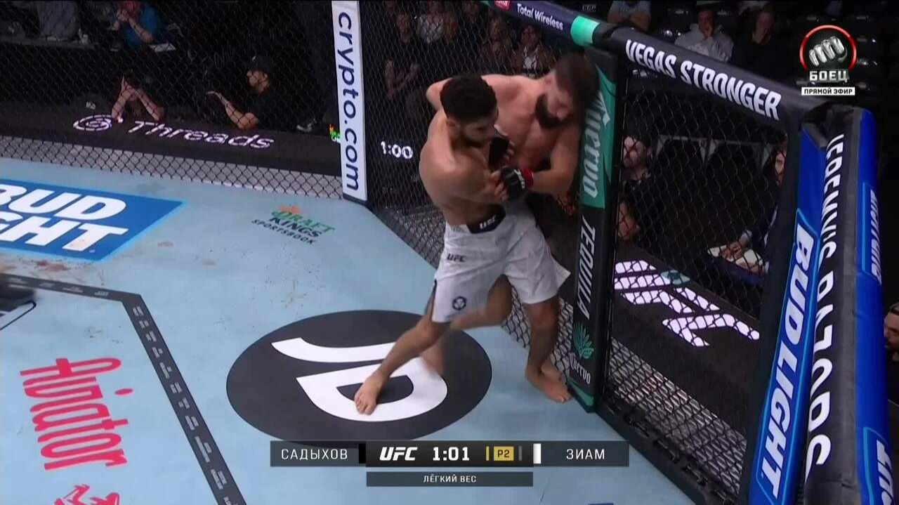Назим Садыхов против Фареса Зиама (видео). UFC 323