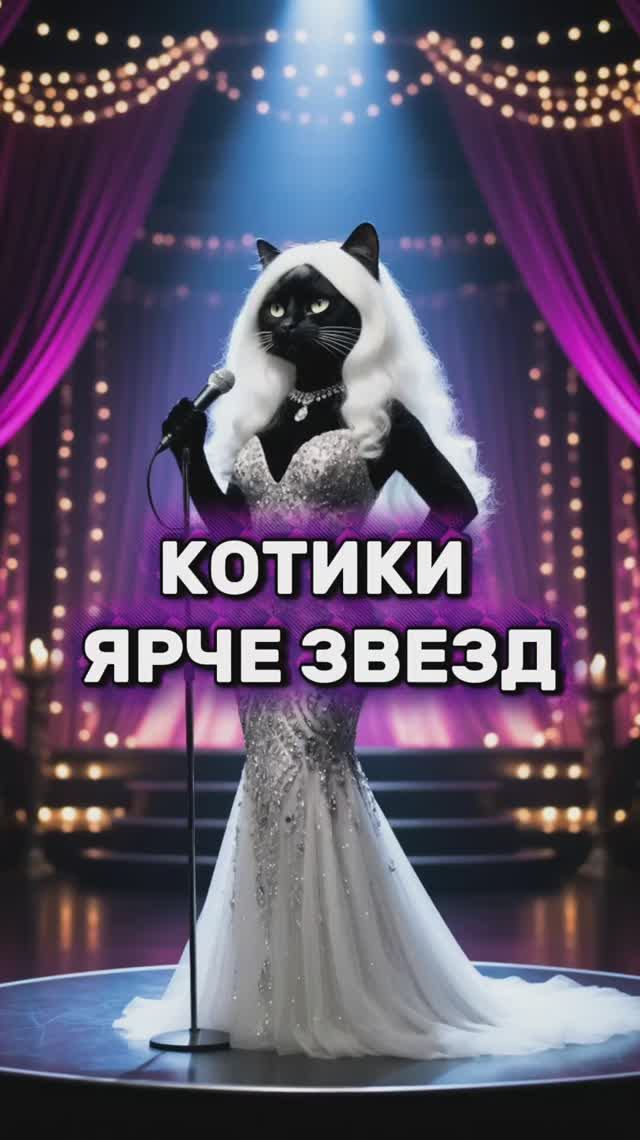 Котики ЯРЧЕ ЗВЕЗД🌟