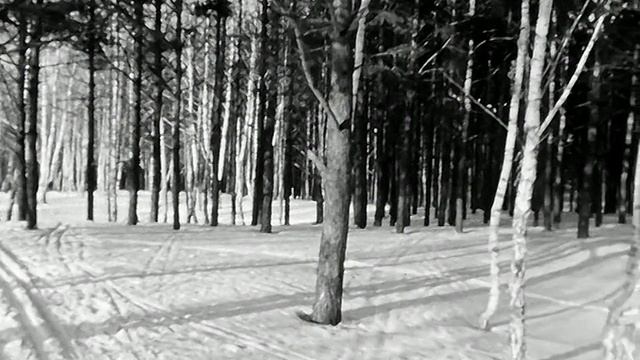 1976 год. Тюмень. Выходной день. Лыжники