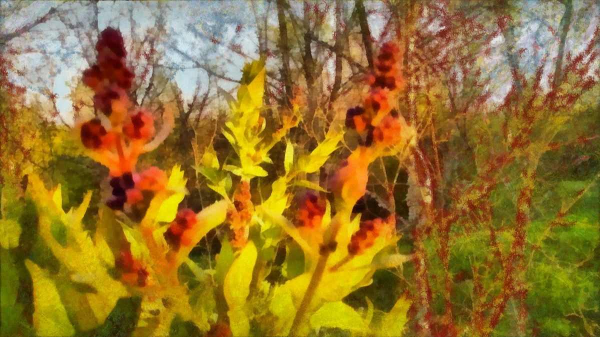 Май. Скоро расцветёт сирень!!!