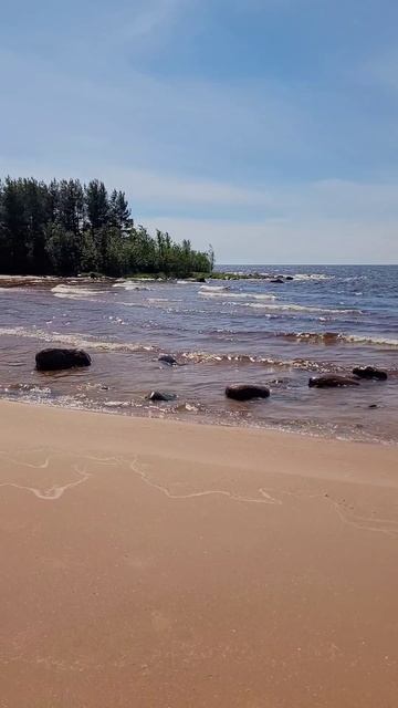 Карелия 2025. Пляжи Видлицы. Июль 2025г (Часть 9)