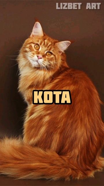 Рисую несуществующее животное🐈+🦉=❓(ч.114) #tiktok #shorts #art #gouach