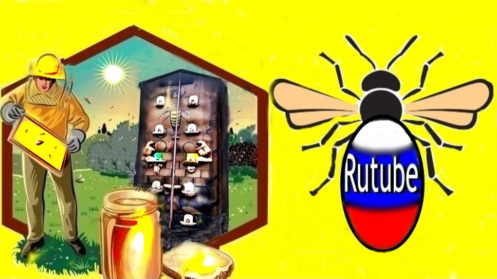 Пчелы.ОСМОТР