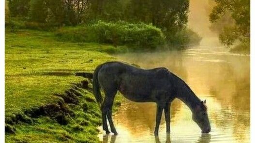 Ю. Н. Стасюк Вариации на тему укр. нар. песни "Ой, чий-то кінь стоїть" для шестиструнной гитары