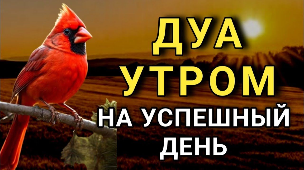 Молитва (дуа) для защиты от бед