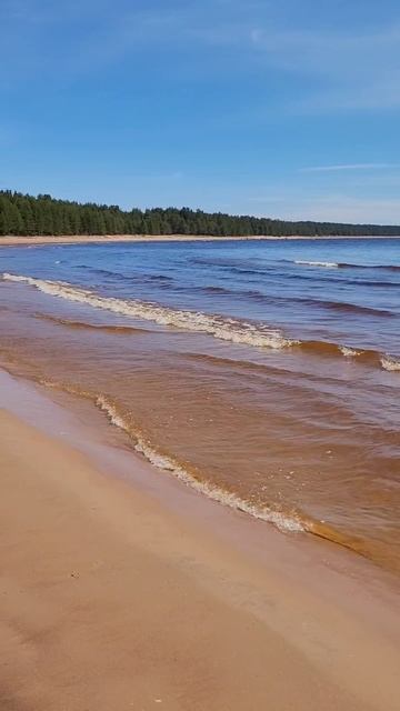 Карелия 2025. Пляжи Видлицы. Июль 2025г (Часть 10)