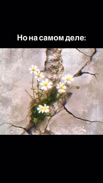 Освободи себя от семейных сценариев и начни жить по своим правилам!