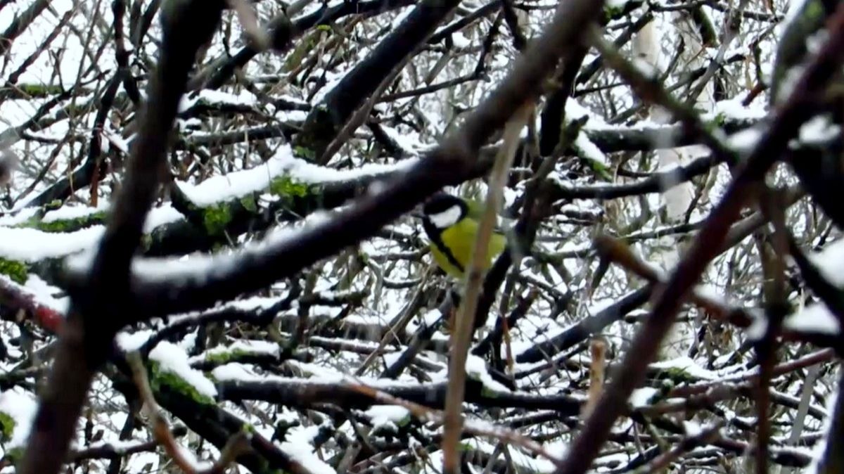 Сегодня за окном. 8 декабря 2025 года.