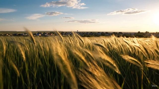 Гимн Чертково.