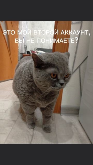 Я НЕ УДАЛЯЛ НИКАКИЕ ВИДЕО