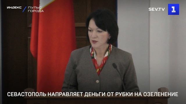 Севастополь направляет деньги от рубки на озеленение