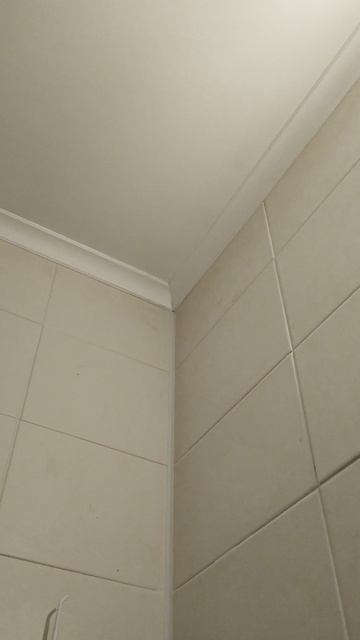 Шум на крыше 2025_09_22_Воронцовский11к3