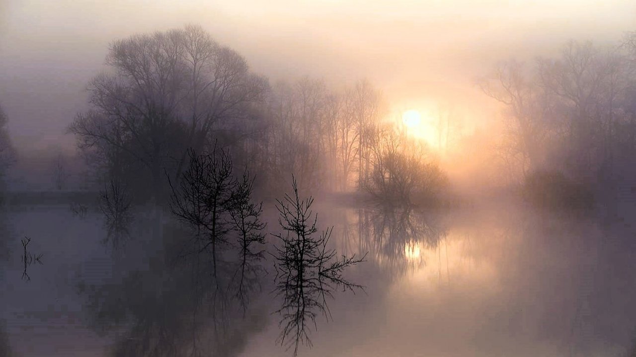 Андрей МИСИН "Молчи"