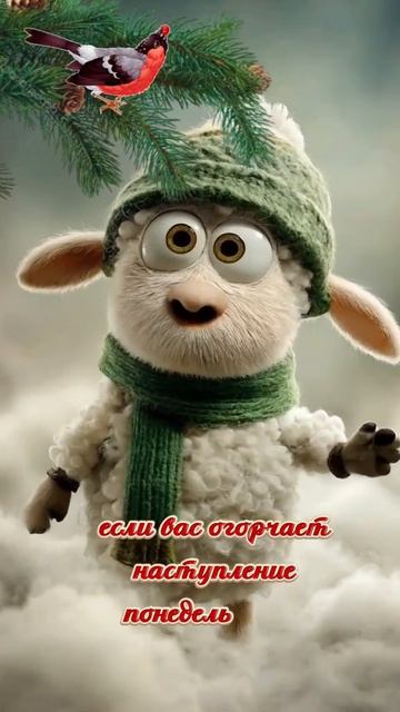 Скетч -шоу. Юмористические видеоролики.