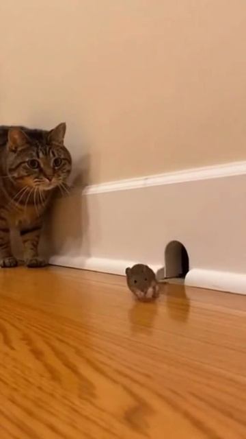 Ловим мышей (по мнению ИИ)