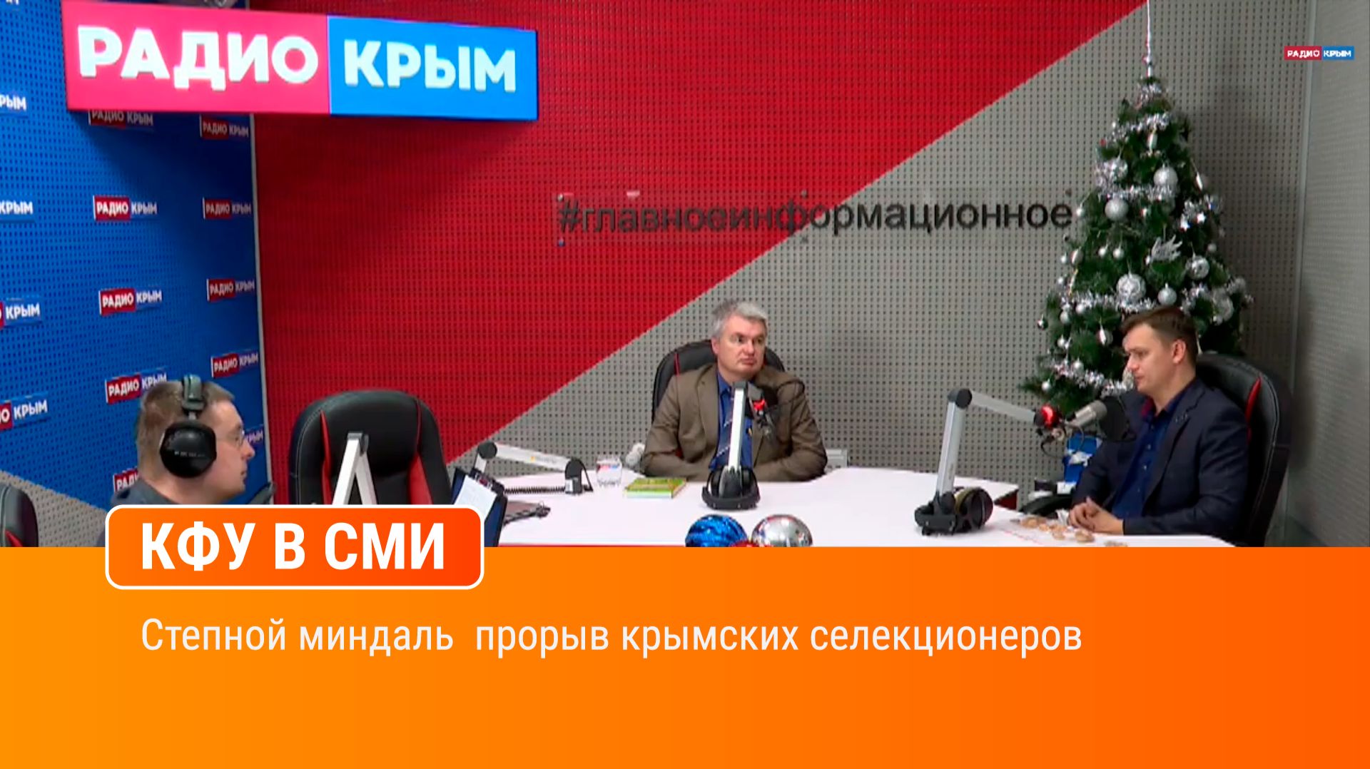 Степной миндаль: прорыв крымских селекционеров