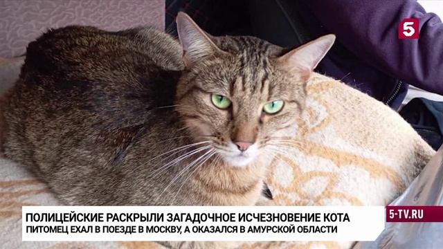 Полицейские спасли кота Федоса