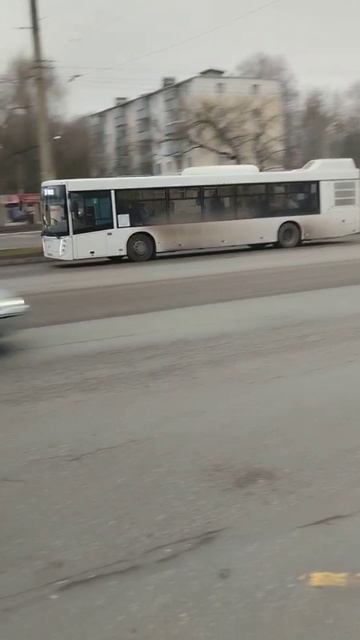 Едит МАЗ-203.047 на остановку улица Лихачёва!