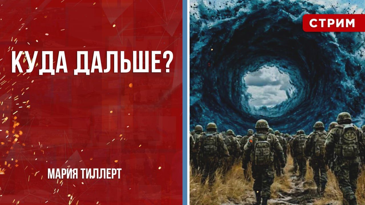 Куда дальше? [Мария Тиллерт. СТРИМ]